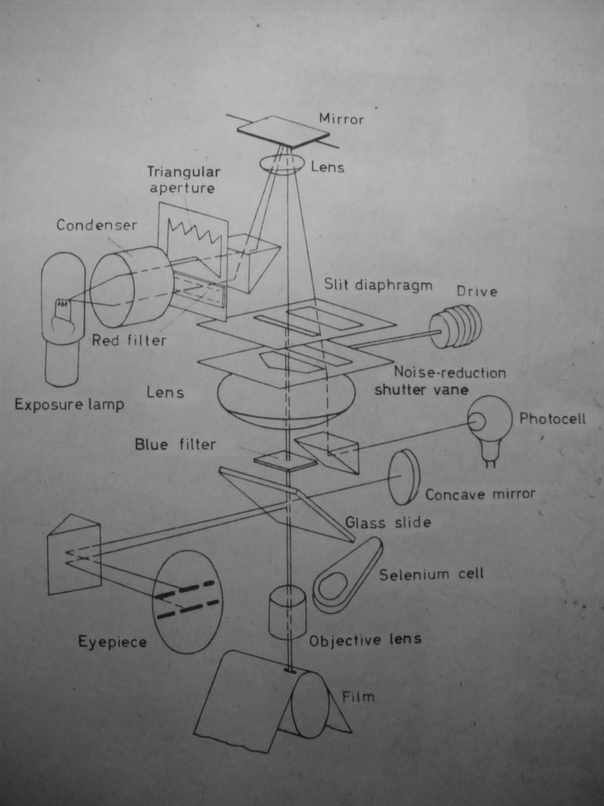 Optical Sound | N a c h l e b e n Experimental Film Lab